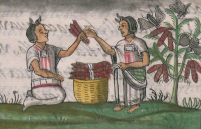 Aztec Encyclopedia | Digital Inquiry Group